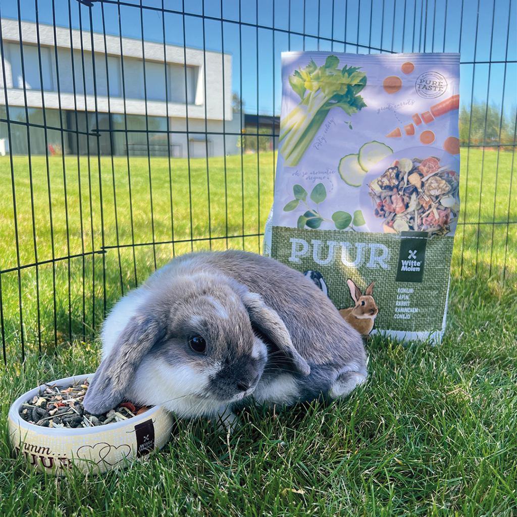 PUUR Rabbit – THE PET VILLAGE LTD